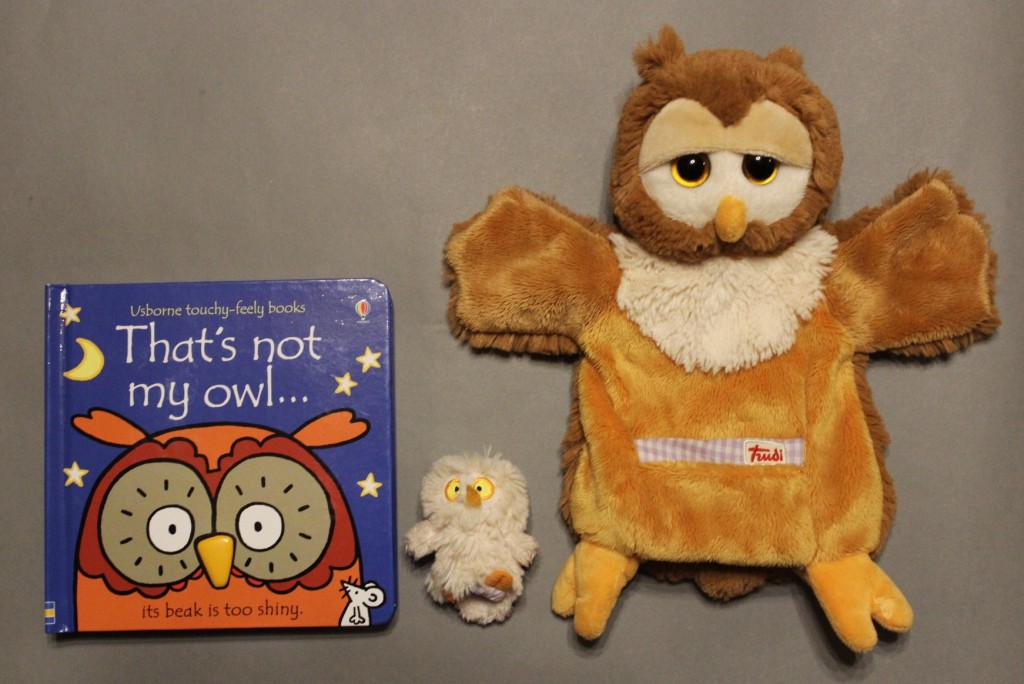 THAT'S NOT MY OWL... – Książki na czacie