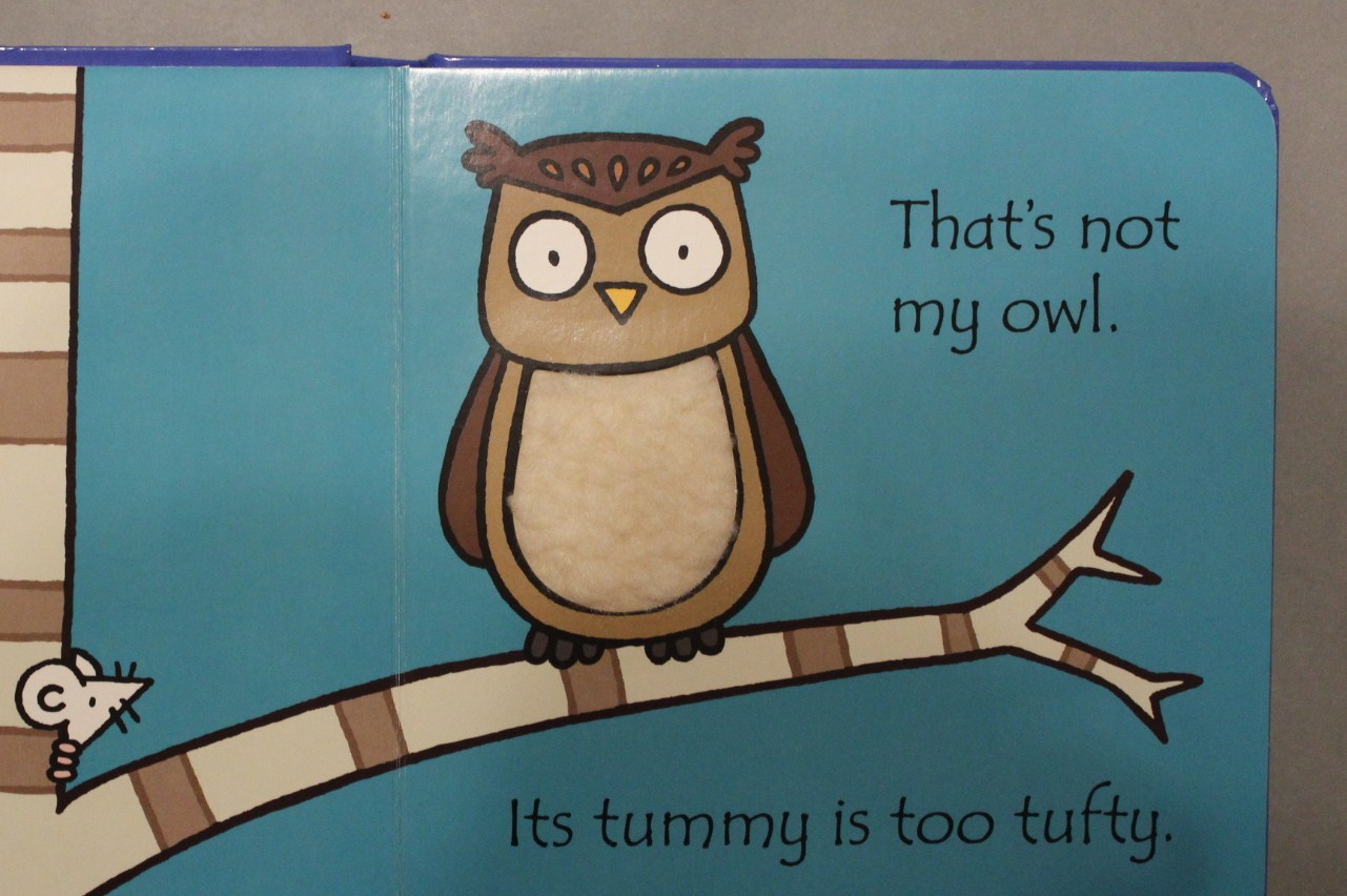 THAT'S NOT MY OWL... – Książki na czacie