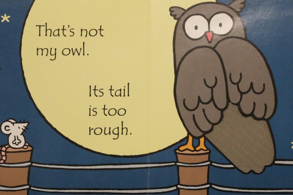 THAT'S NOT MY OWL... – Książki na czacie