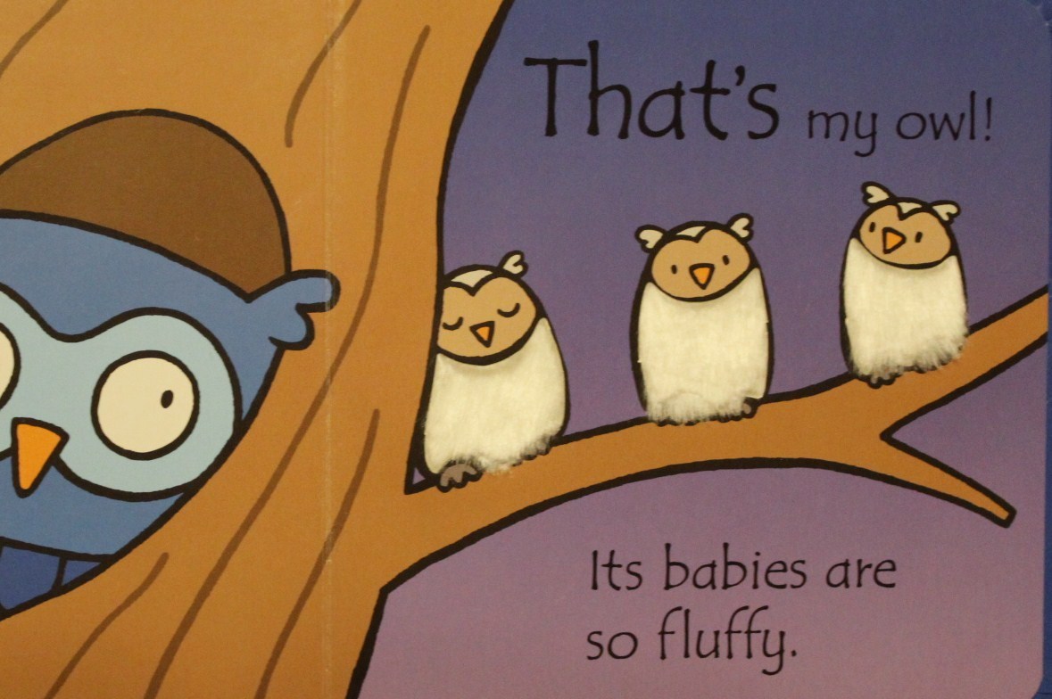THAT'S NOT MY OWL... – Książki na czacie
