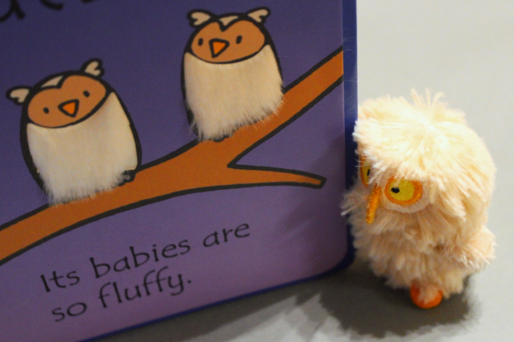 THAT'S NOT MY OWL... – Książki na czacie